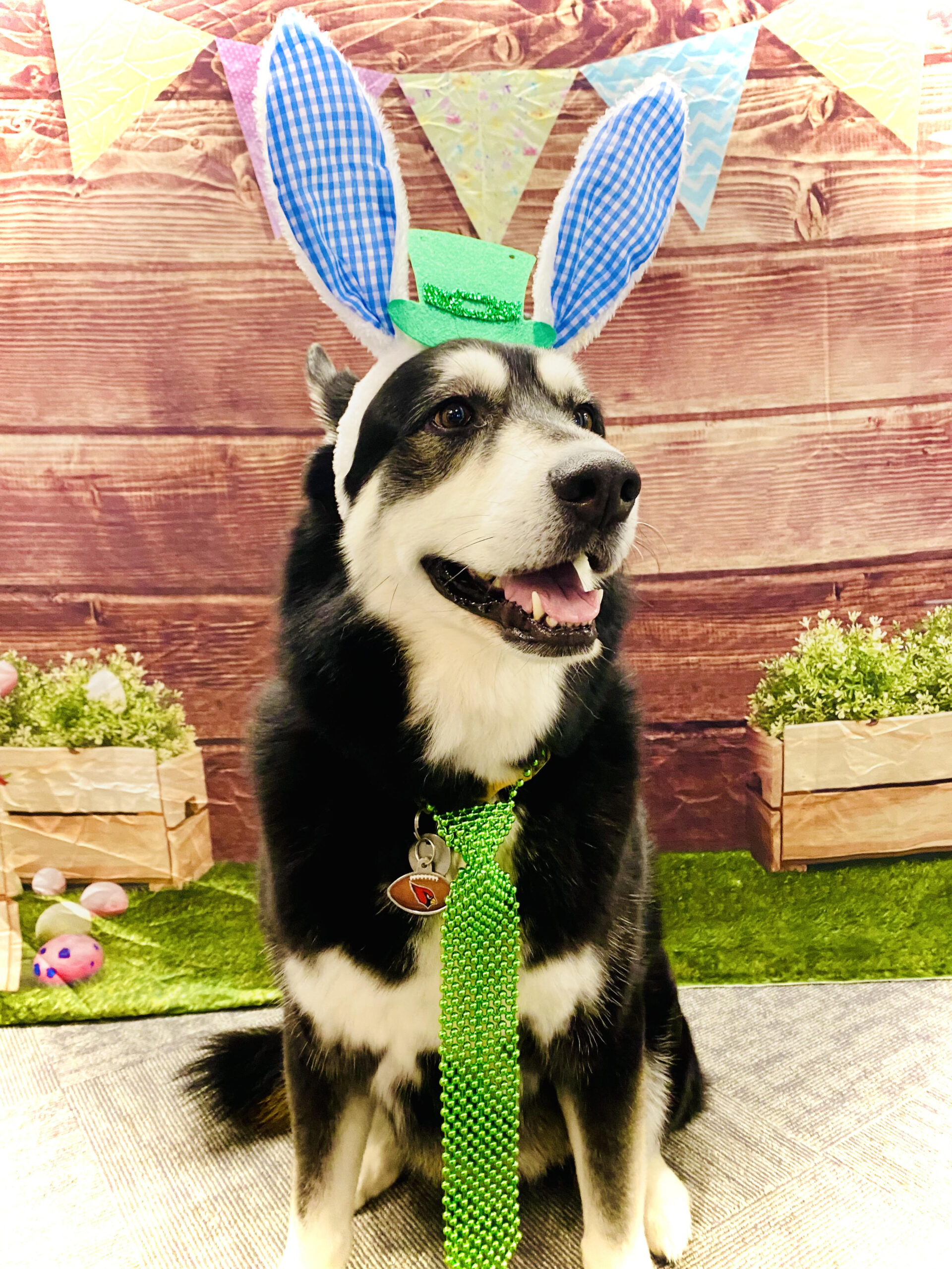 Promotional Page - Clawington of Madison